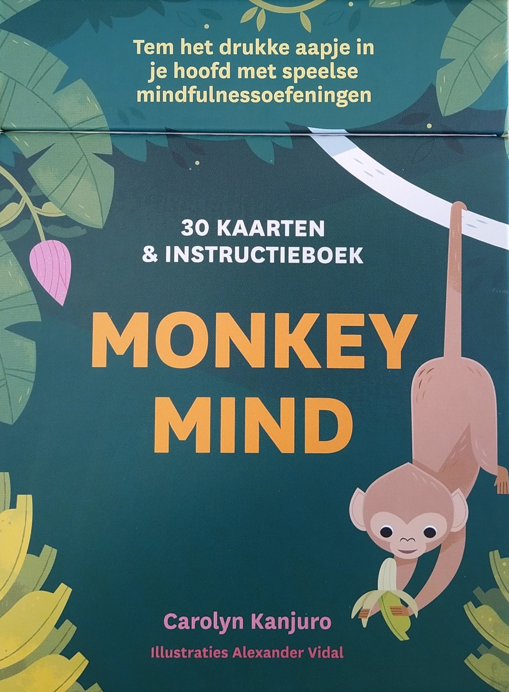 Monkey Mind - Beleef het Us